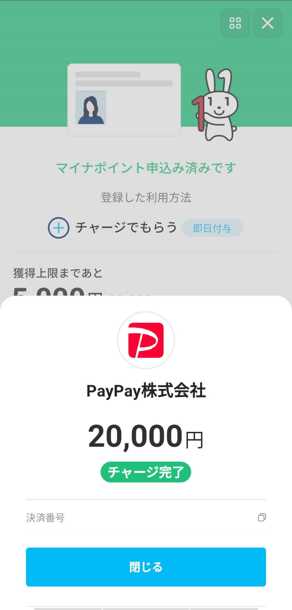 PayPay（ペイペイ）でマイナポイントをもらってみた【登録方法と使い方を解説】
